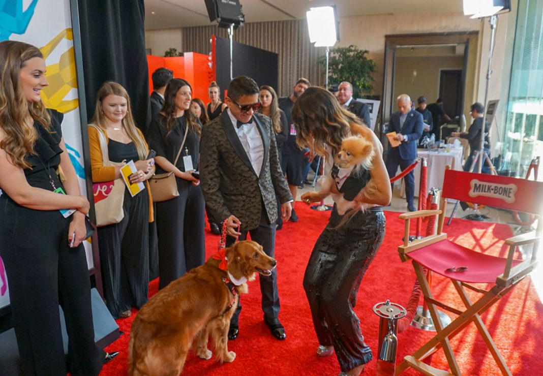 The 2018 Streamy Awards with Milk-Bone CorresPAWndent, Charlie ...